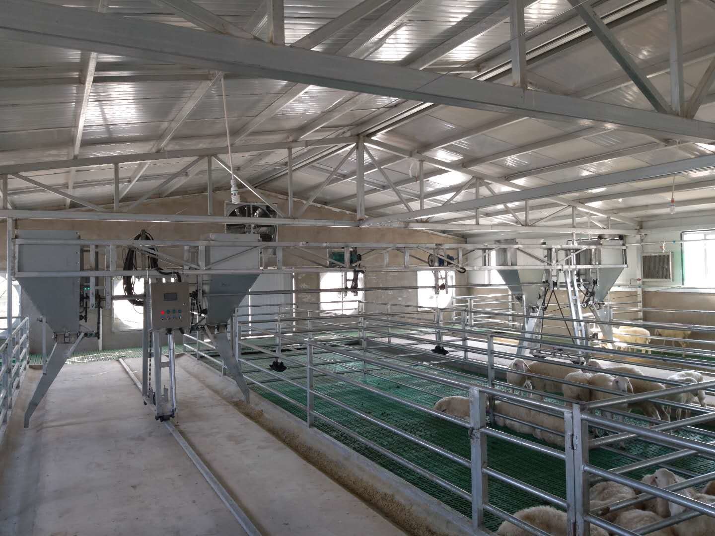 Galvanized Q355B Frame Steel Structure Workshop Steel Livestock ...